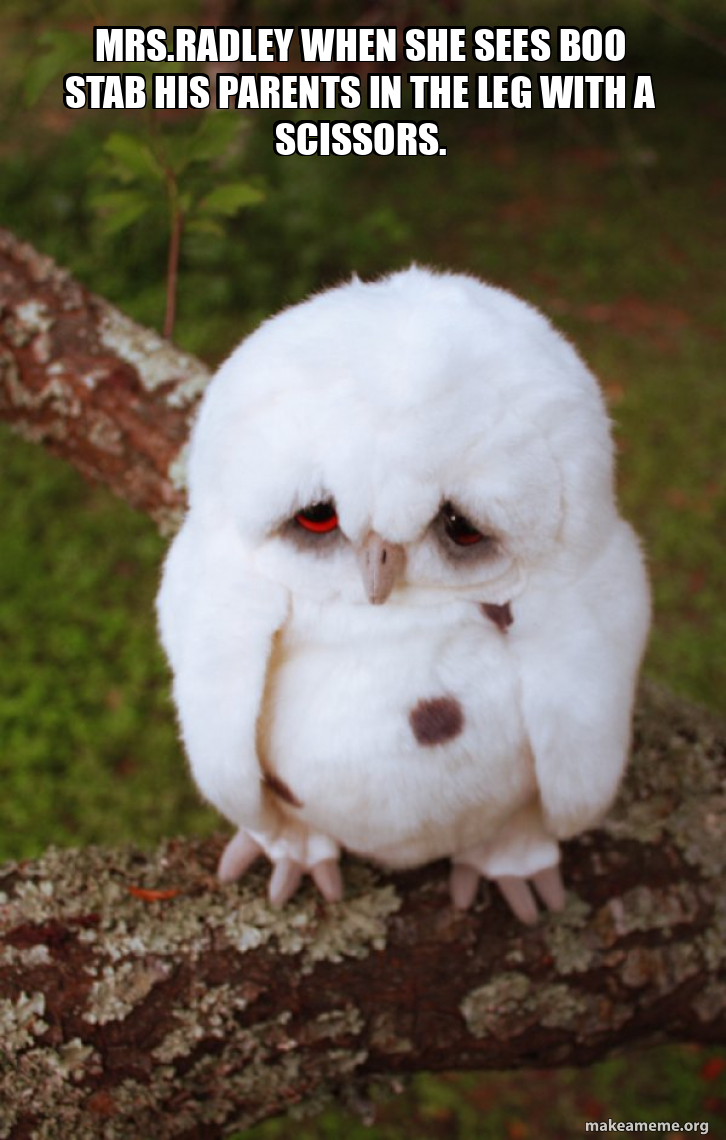 Mrs.Radley when she sees Boo stab his parents in the leg with a ...