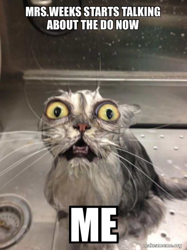 Mrs.Weeks starts talking about the do now ME - Cat bath Meme Generator