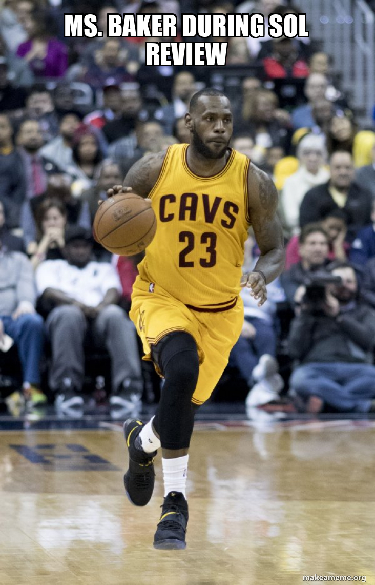 Ms. Baker during SOL review - Lebron James Meme Generator