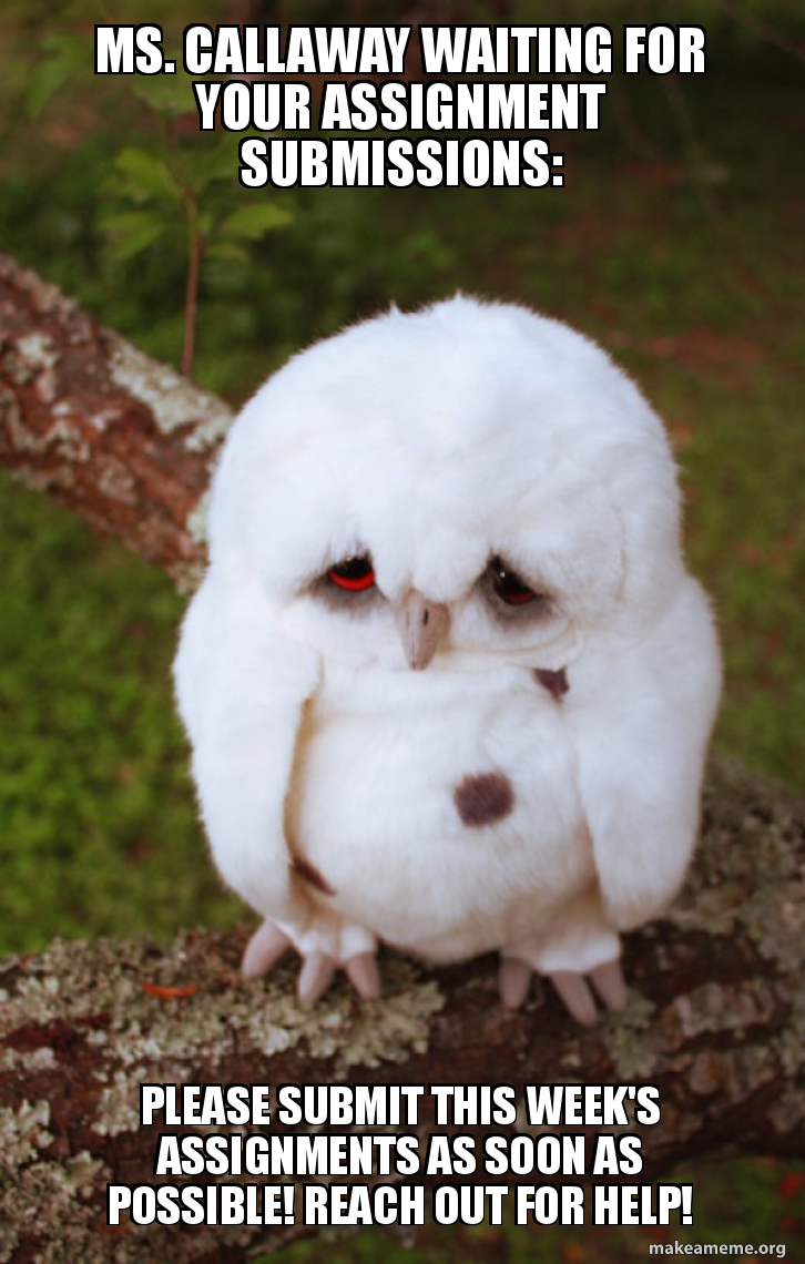 MS. CALLAWAY WAITING FOR YOUR ASSIGNMENT SUBMISSIONS: Please submit ...