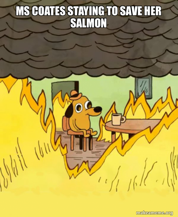Ms Coates staying to save her salmon - This Is Fine Meme Generator