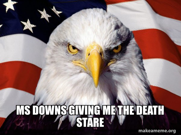 ms downs giving me the death stare - American Pride Eagle Meme Generator