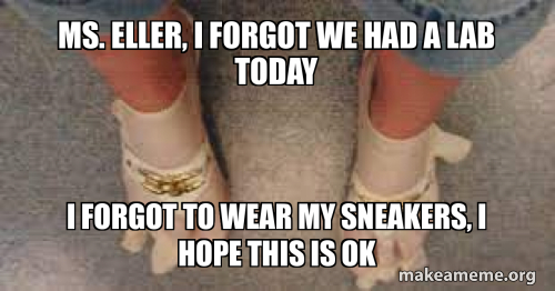 Ms. Eller, i forgot we had a lab today I forgot To wear my sneakers, i ...