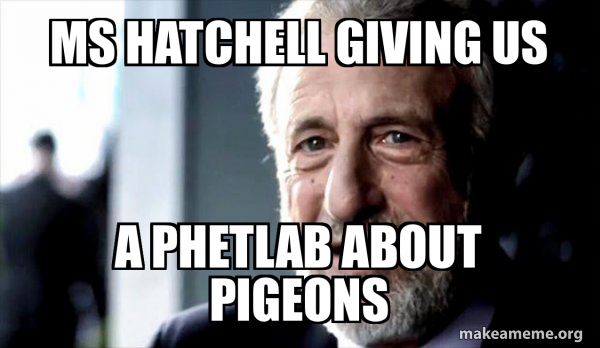 Ms Hatchell giving us a phetlab about pigeons - I Guarantee it - George ...