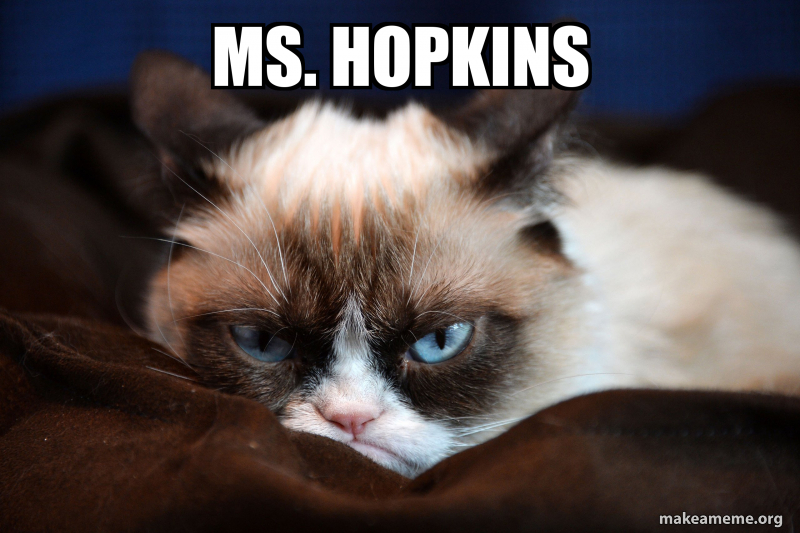 Ms. Hopkins Meme Generator