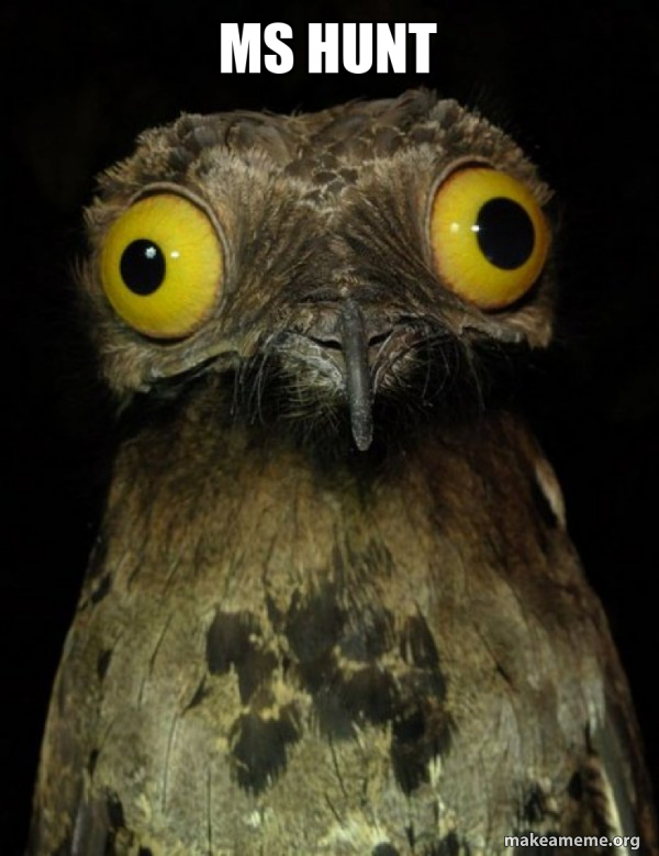 MS HUNT - Weird Stuff I do Potoo Meme Generator