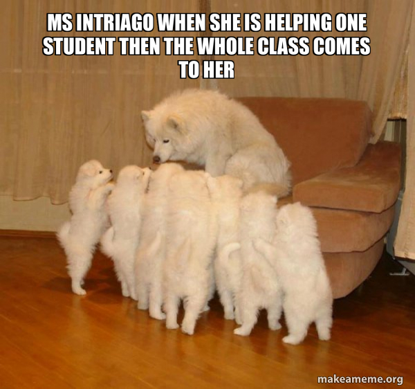 Ms intriago when she is helping one student then the whole class comes ...