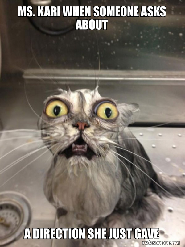 Ms. Kari When someone asks about a direction she just gave - Cat bath ...