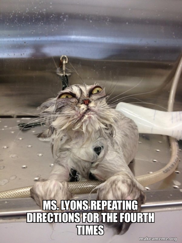 Ms. Lyons repeating directions for the fourth times - Cat Bath Returns ...