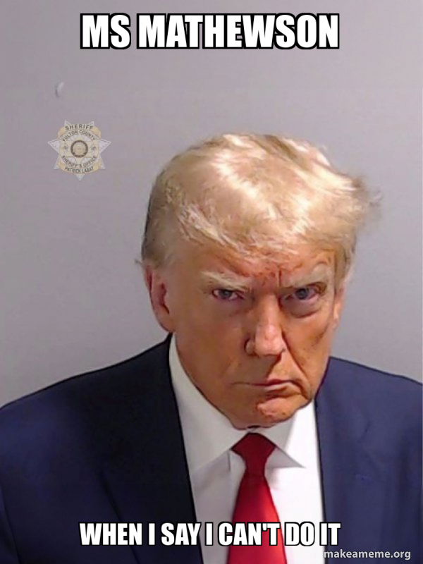 ms mathewson when I say I can't do it - Donald Trump Mugshot Meme Generator