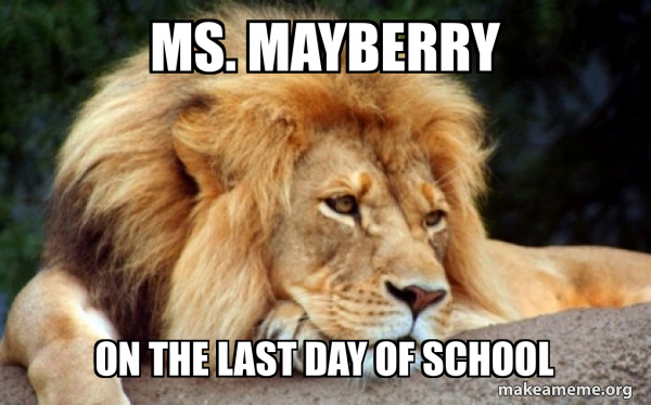 Ms. Mayberry on the last day of school - Confession Lion Meme Generator