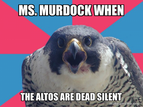 Ms. Murdock when The altos are dead silent - Millennial Falcon Meme ...