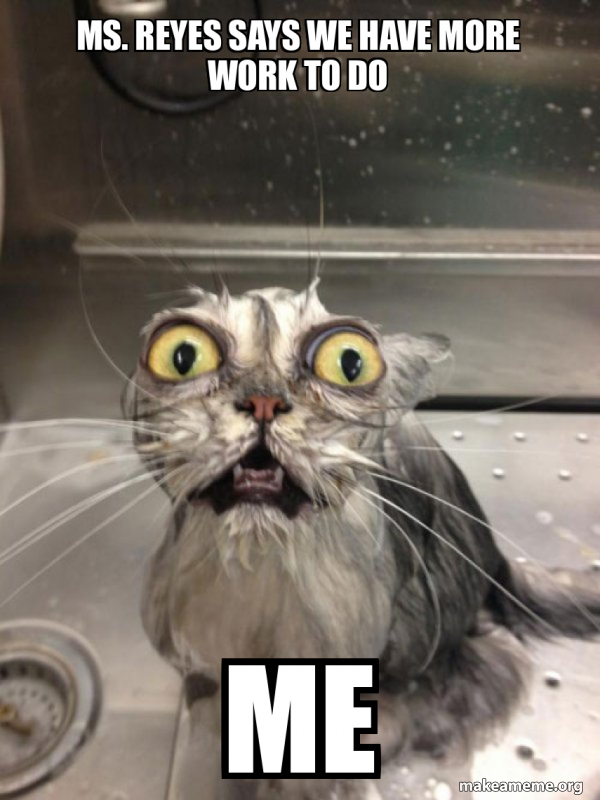 Ms. Reyes says we have more work to do Me - Cat bath Meme Generator