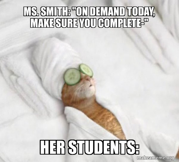 Ms. Smith: "On demand today, make sure you complete-" Her students ...