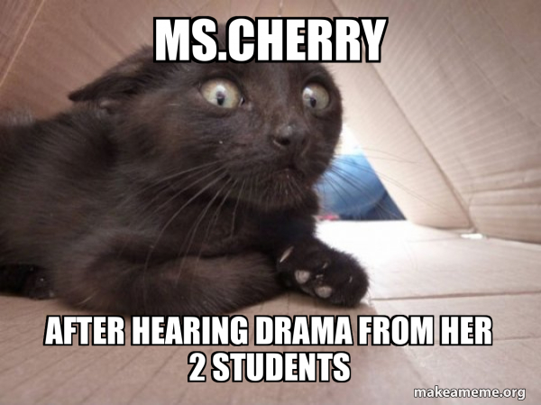 Ms.Cherry After hearing drama from her 2 students - Schitzo Cat Meme ...
