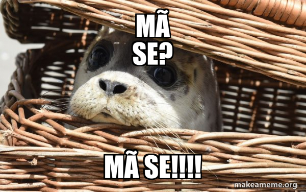 MÅSE? MÅSE!!!! - Impending Doom Seal Meme Generator