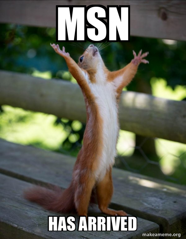 Msn Has arrived - Happy Squirrel Meme Generator