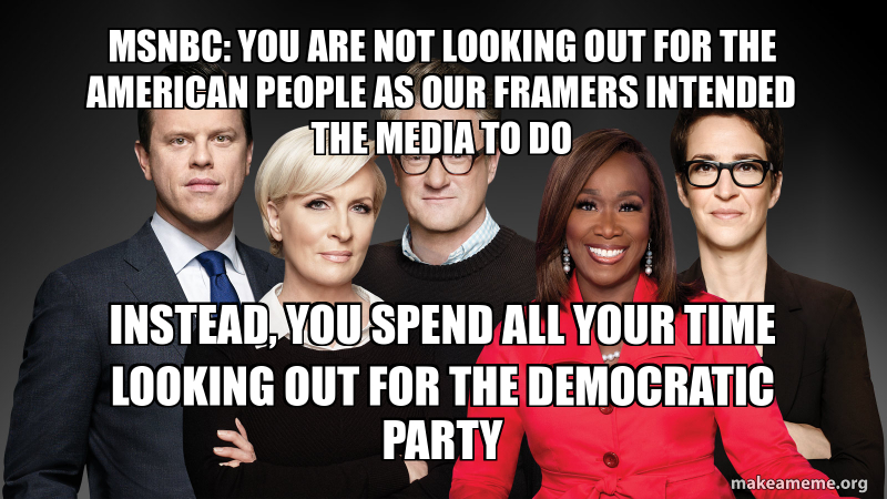 msnbc: you are not looking out for the american people as our framers ...