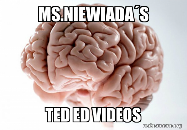 Ms.NiewiadaÂ´s Ted Ed videos - Scumbag Brain Meme Generator