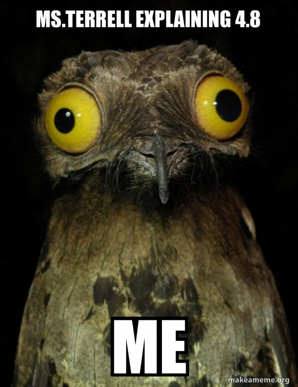 Ms.Terrell explaining 4.8 Me - Weird Stuff I do Potoo Meme Generator
