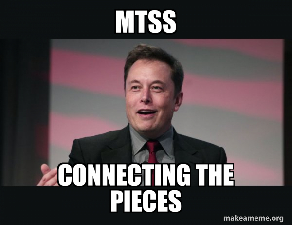 MTSS Connecting the Pieces - Elon Musk Meme Generator