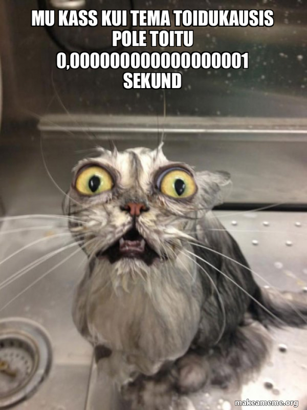mu kass kui tema toidukausis pole toitu 0,000000000000000001 sekund ...