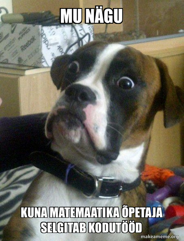 mu nägu kuna matemaatika õpetaja selgitab kodutööd - Skeptical Dog Meme ...