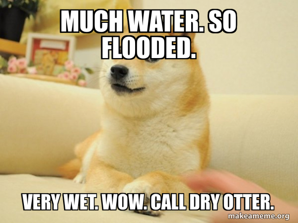 Much Water. So flooded. Very wet. Wow. Call Dry Otter. - Doge Meme ...