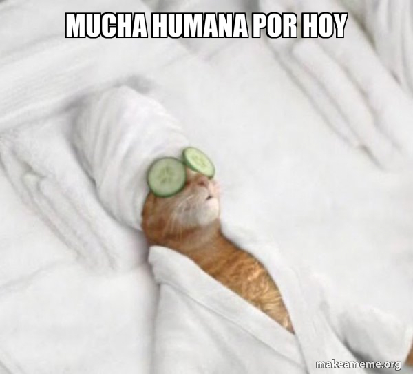 mucha humana por hoy - Pampered Cat Meme Meme Generator