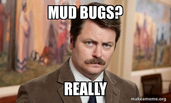 Mud Bugs? Really - Ron Swanson : I am a Simple Man Meme Generator