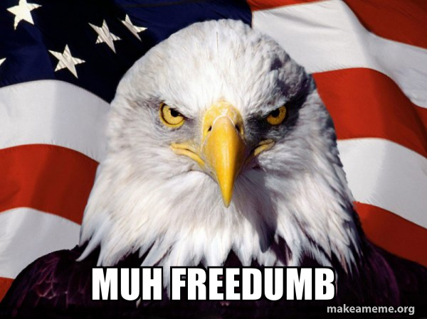 muh freedumb - American Pride Eagle Meme Generator