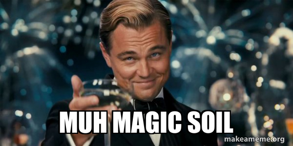 muh magic soil - Great Gatsby Reaction - Leonardo DiCaprio Toast Meme ...