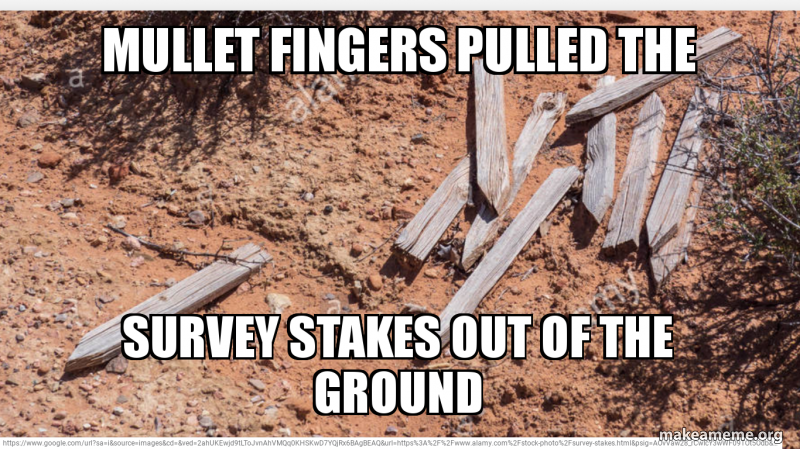 mullet fingers pulled the survey stakes out of the ground Meme Generator