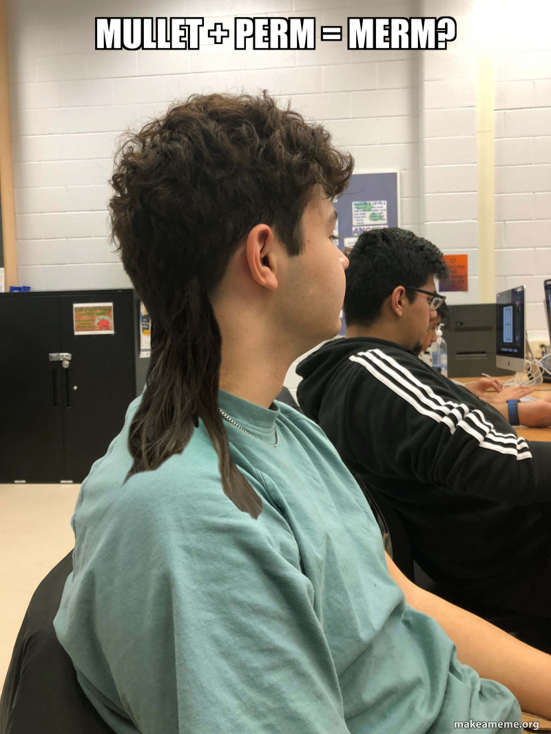 mullet + perm = merm? Meme Generator