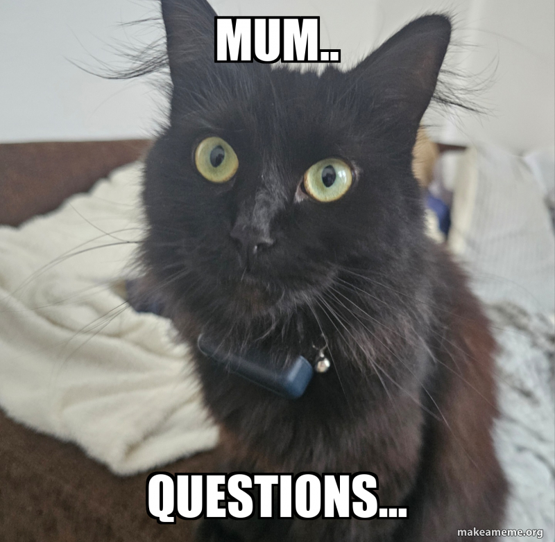Mum.. Questions... Meme Generator