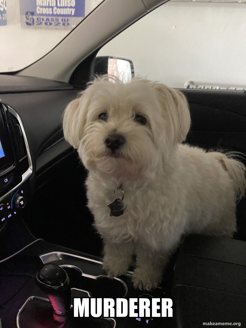 MURDERER Meme Generator