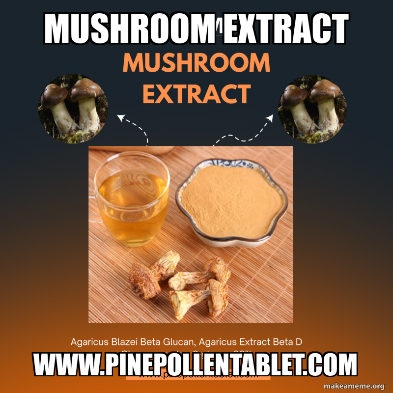 mushroom extract www.pinepollentablet.com - Boost your health with ...