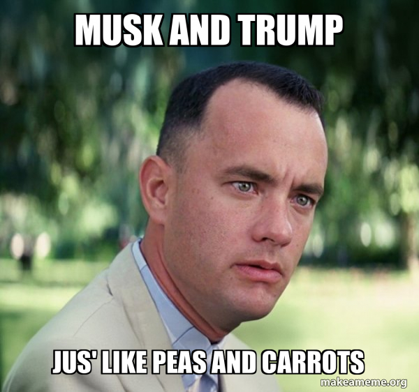 Musk and Trump jus' Like peas and carrots - Forrest Gump just like that ...