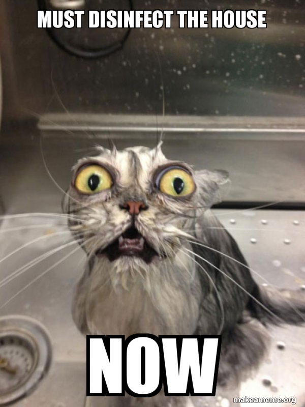 Must disinfect the house NOW - Cat bath Meme Generator