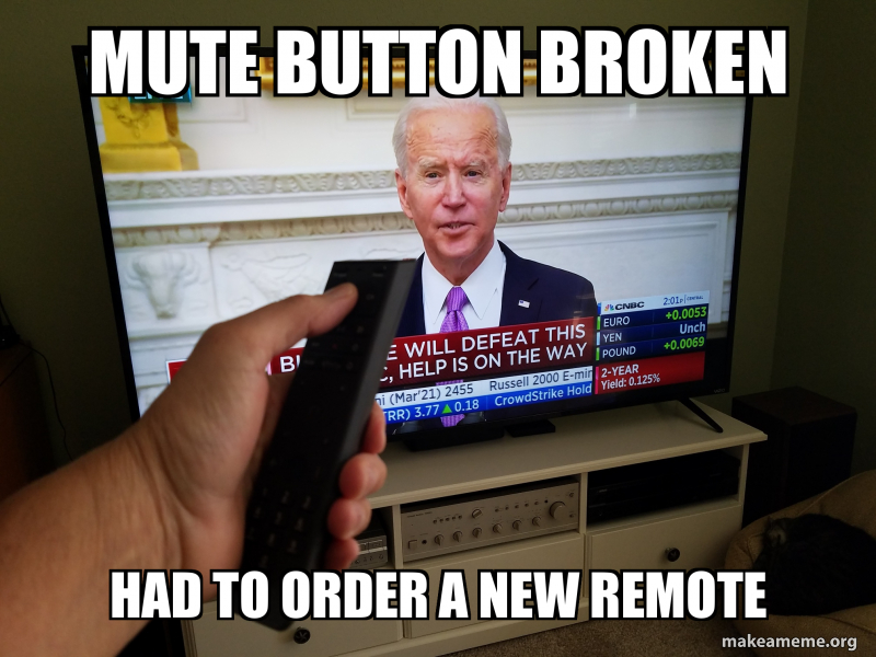 mute button broken had to order a new remote - MUTE REMOTE Meme Generator