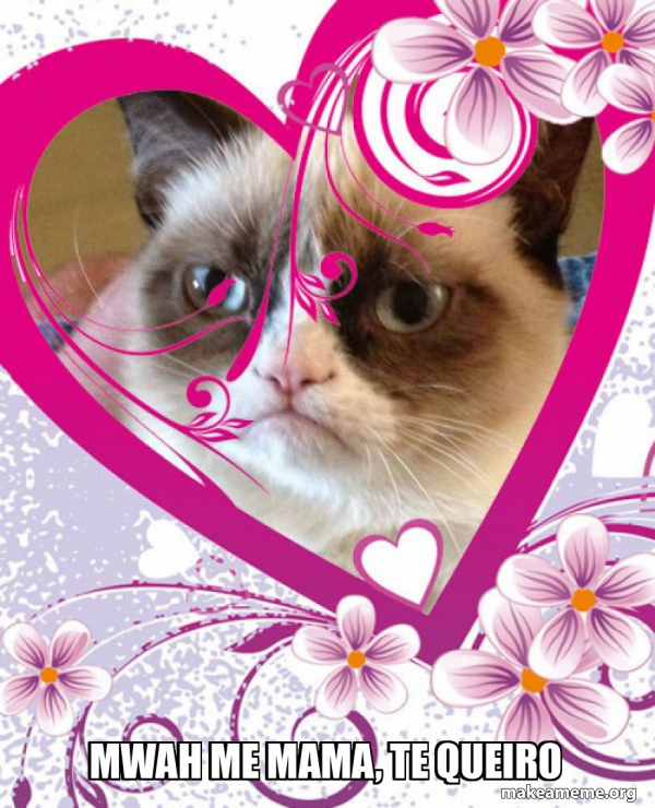 mwah me mama, te queiro - Grumpy cat Valentines Day Meme Generator
