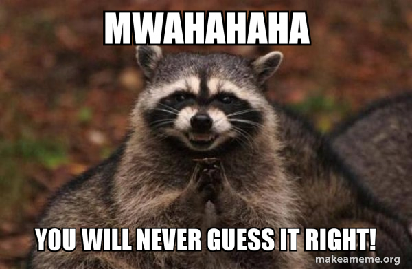 Mwahahaha You will NEVER guess it right! - Evil Plotting Raccoon Meme ...