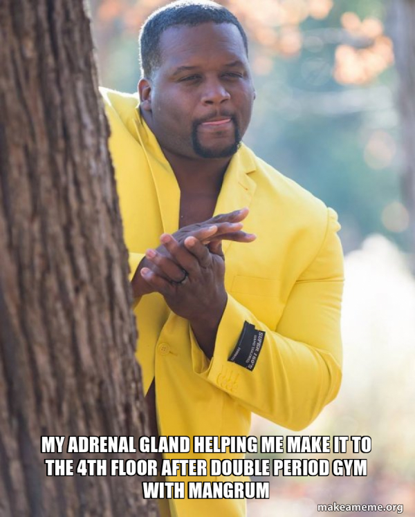 My adrenal gland helping me make it to the 4th floor after double ...