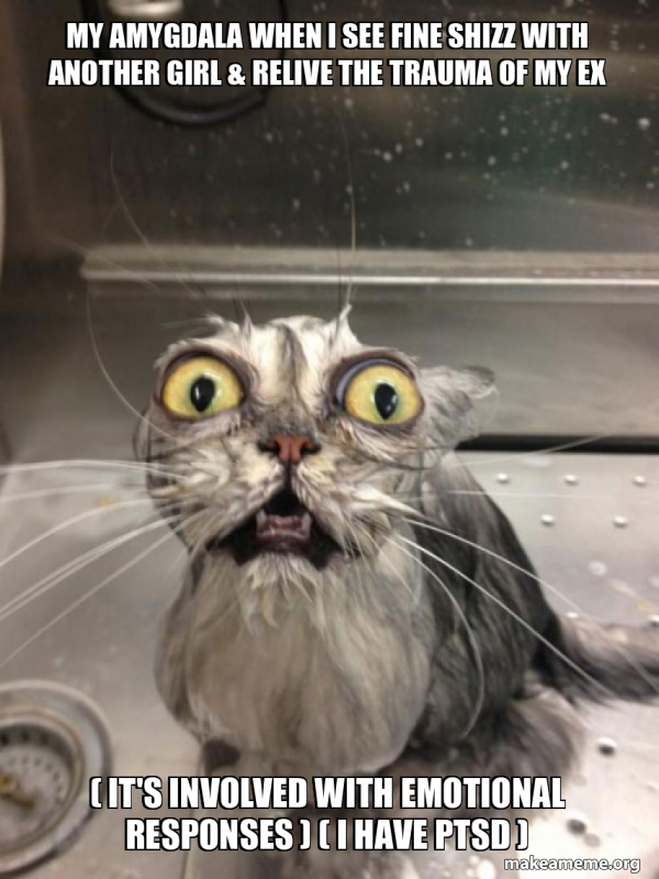 My amygdala when I see fine shizz with another girl & relive the trauma ...