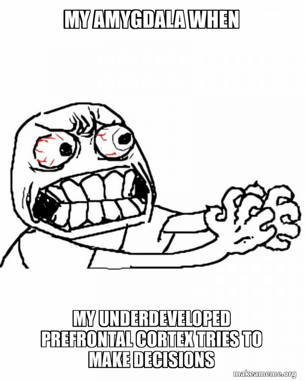 my amygdala when my underdeveloped prefrontal cortex tries to make ...