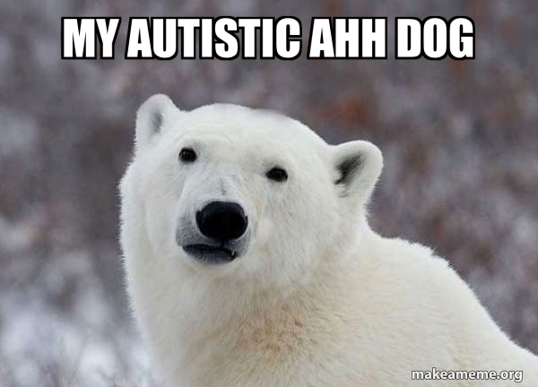 my autistic ahh dog - Popular Opinion Polar Bear Meme Generator