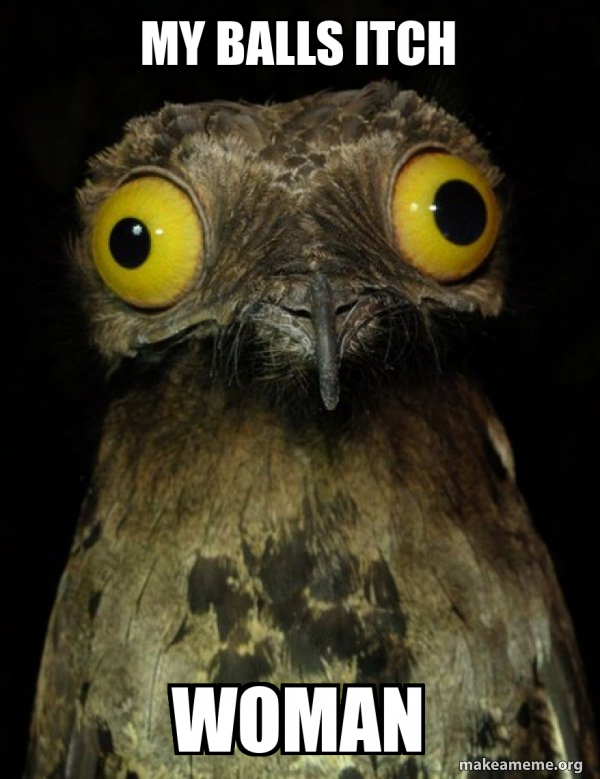my balls itch woman - Weird Stuff I do Potoo Meme Generator