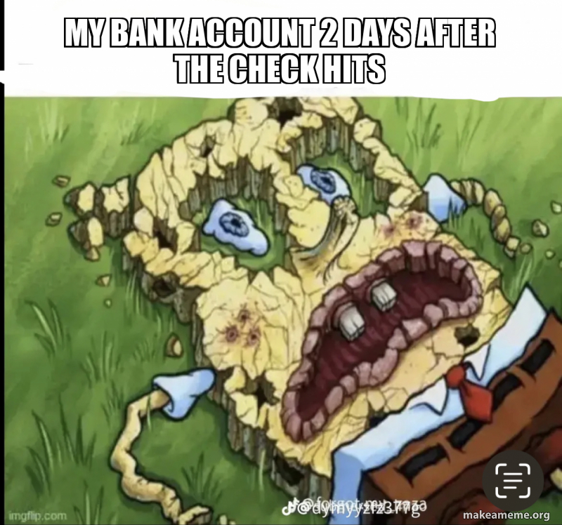 my bank account 2 days after the check hits Meme Generator
