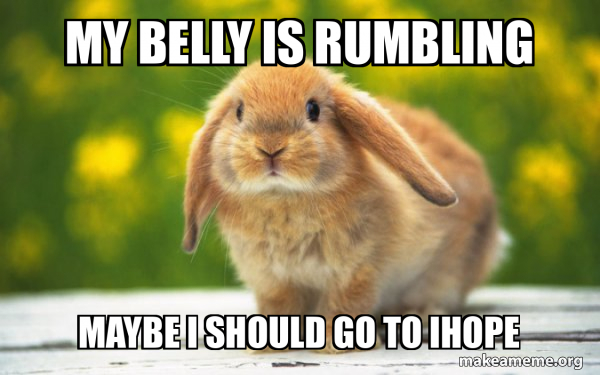 my belly is rumbling maybe i should go to ihope - Regretful Rabbit Meme ...