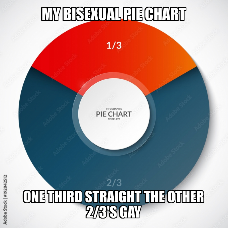 my bisexual pie chart one third straight the other 2/3's gay Meme Generator